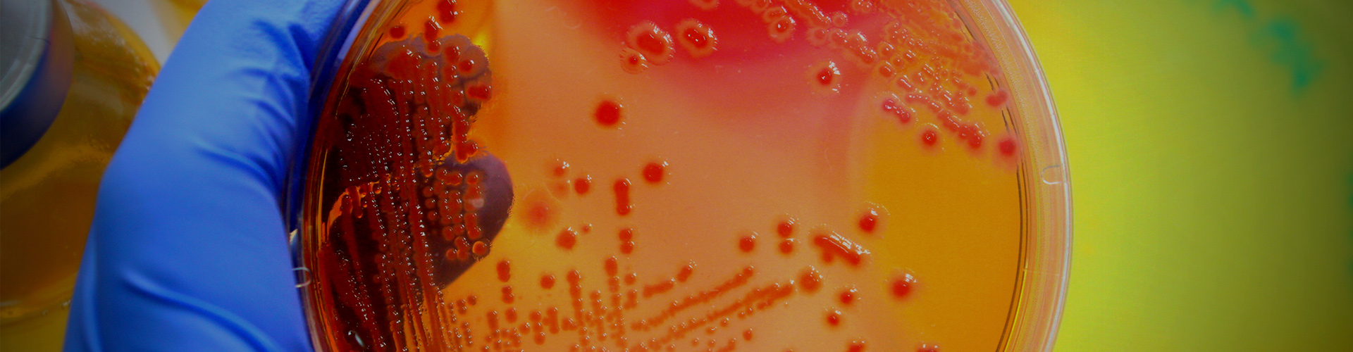 CropLife Europe reaction to new rules on the approval of micro ...