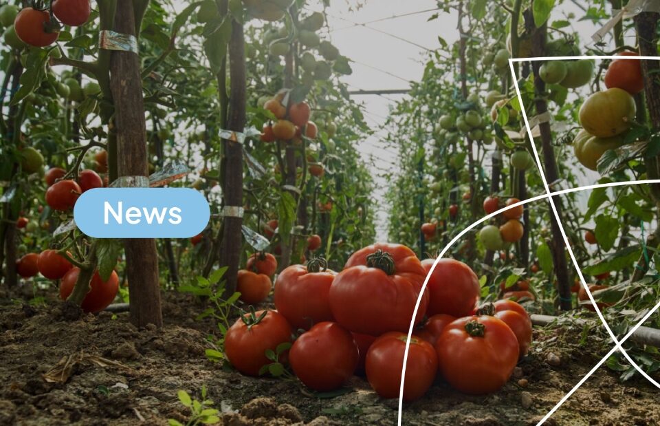 Joint Statement on the EC Initiative: Boosting Biotechnology and ...